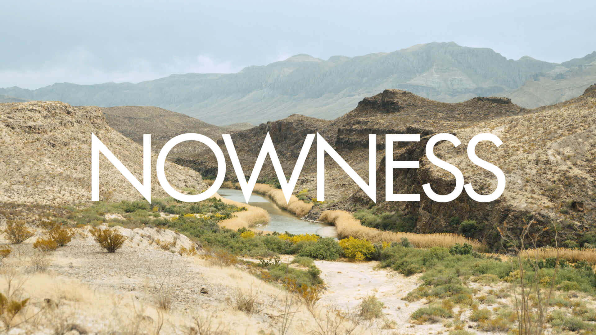 Ale de Carvalho - Creative, Art director